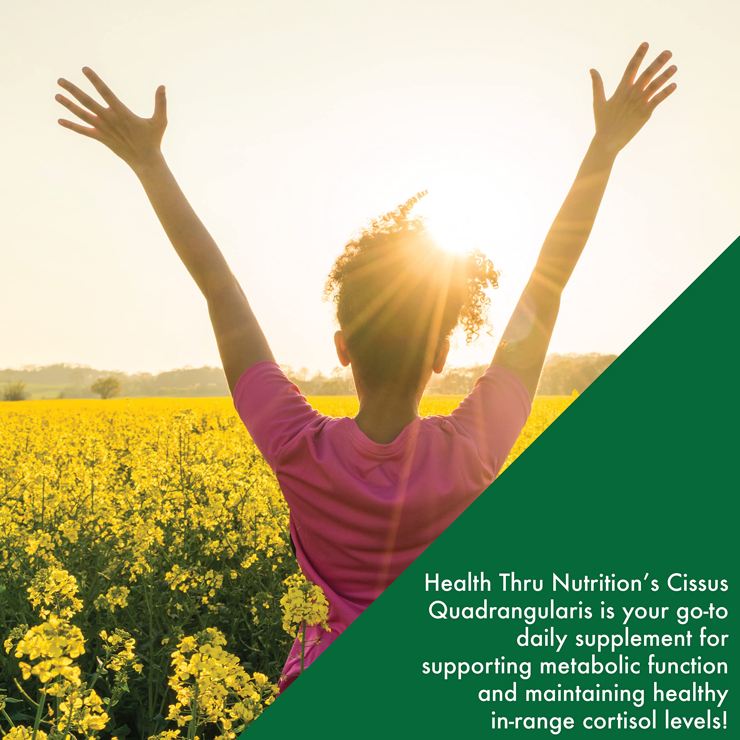 Natural health supplements for wellness
