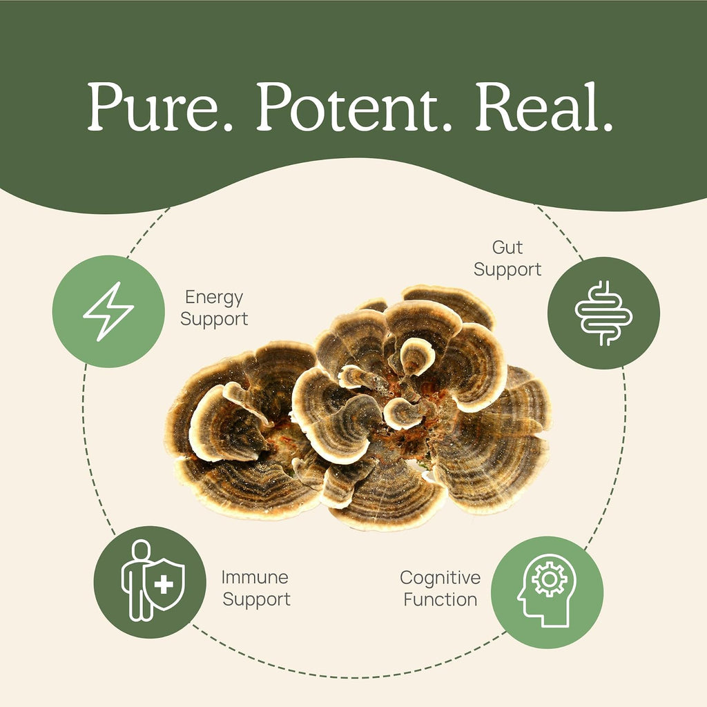 Natural health Turkey Tail supplement