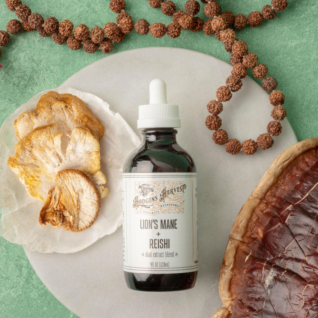 natural health with lion's mane