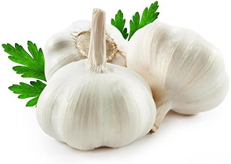 natural heart health with aged garlic