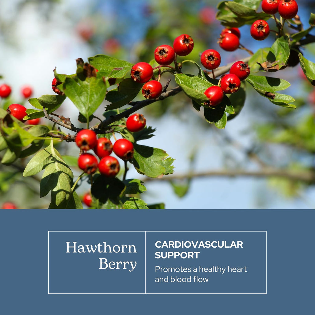 natural heart support with Hawthorn
