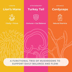 Natural hemp and mushroom supplements