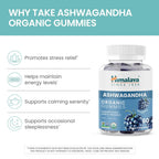 Natural herbal ashwagandha gummies supplement