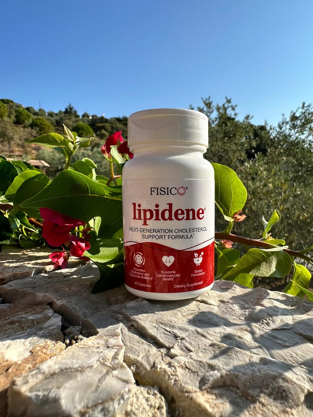 Natural herbal blend for cholesterol support