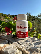 Natural herbal blend for cholesterol support