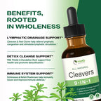 Natural herbal blend for detox