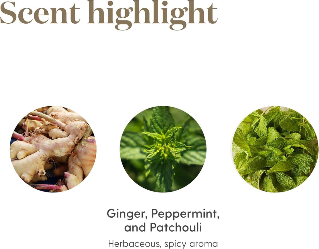 natural herbal blends for everyday use