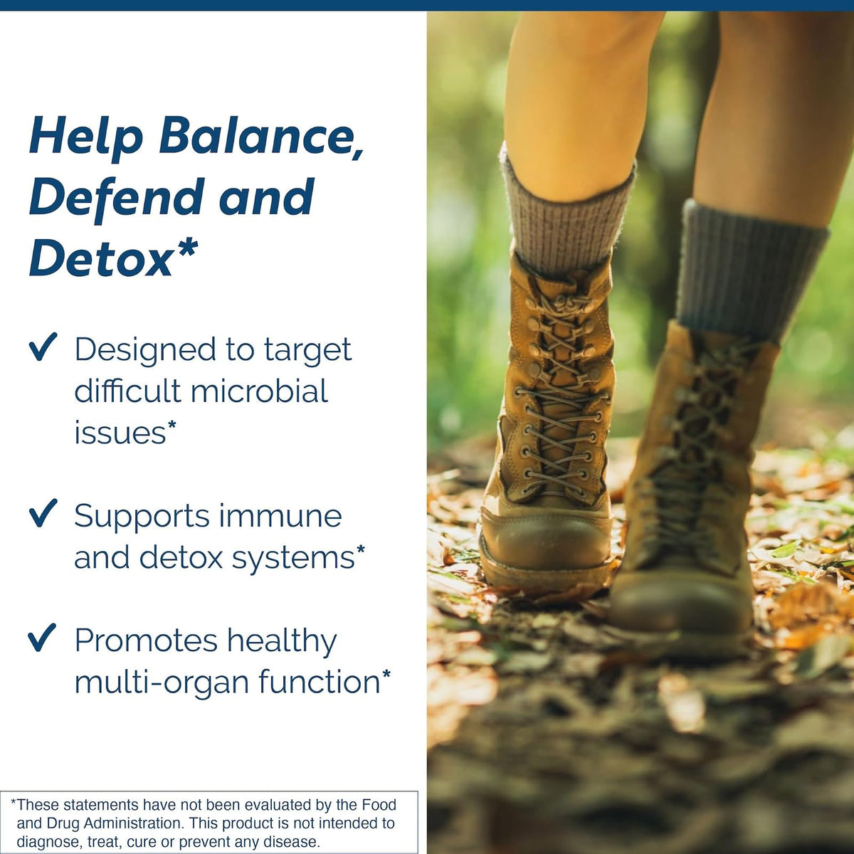 natural herbal blends for immunity