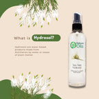 natural herbal blends for skincare