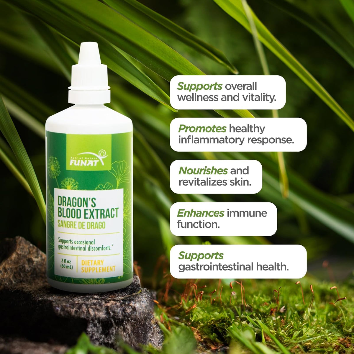 natural herbal blends for wellness