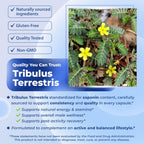 Natural herbal capsules for wellness