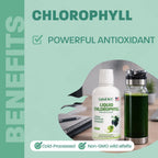 Natural herbal chlorophyll for wellness