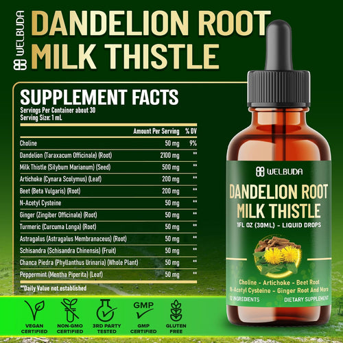 natural herbal dandelion root extract