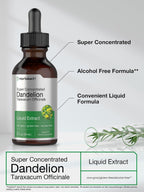 natural herbal dandelion supplement