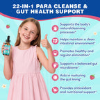 natural herbal detox drops