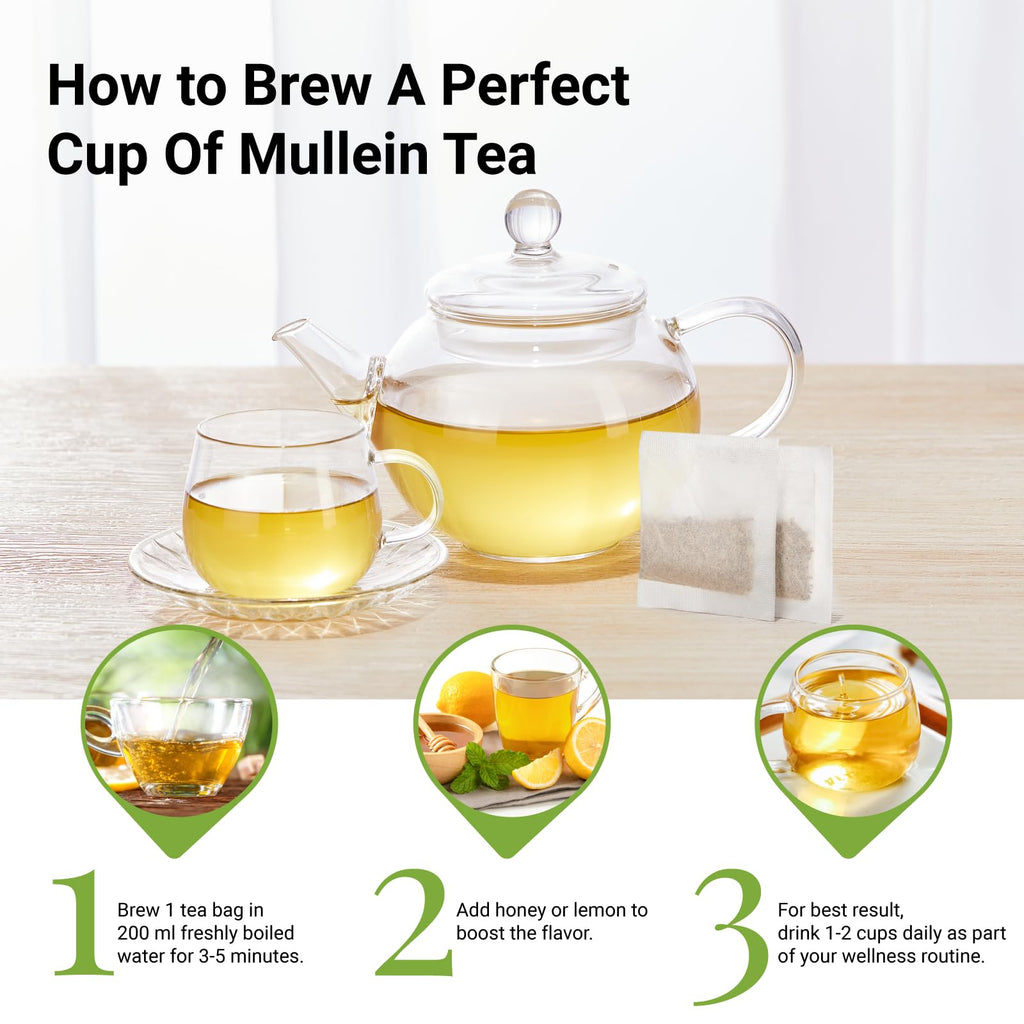 natural herbal detox mullein tea