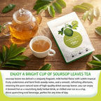 natural herbal detox tea bags