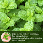 natural herbal detox tea bags