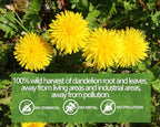 natural herbal detox tea bags