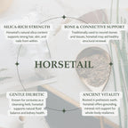 natural herbal detox tea blend