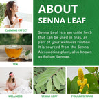 natural herbal detox tea blend