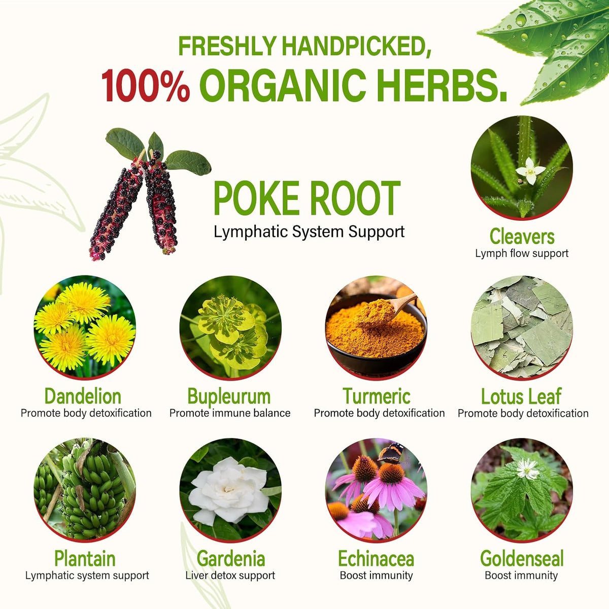 natural herbal detox tea blend
