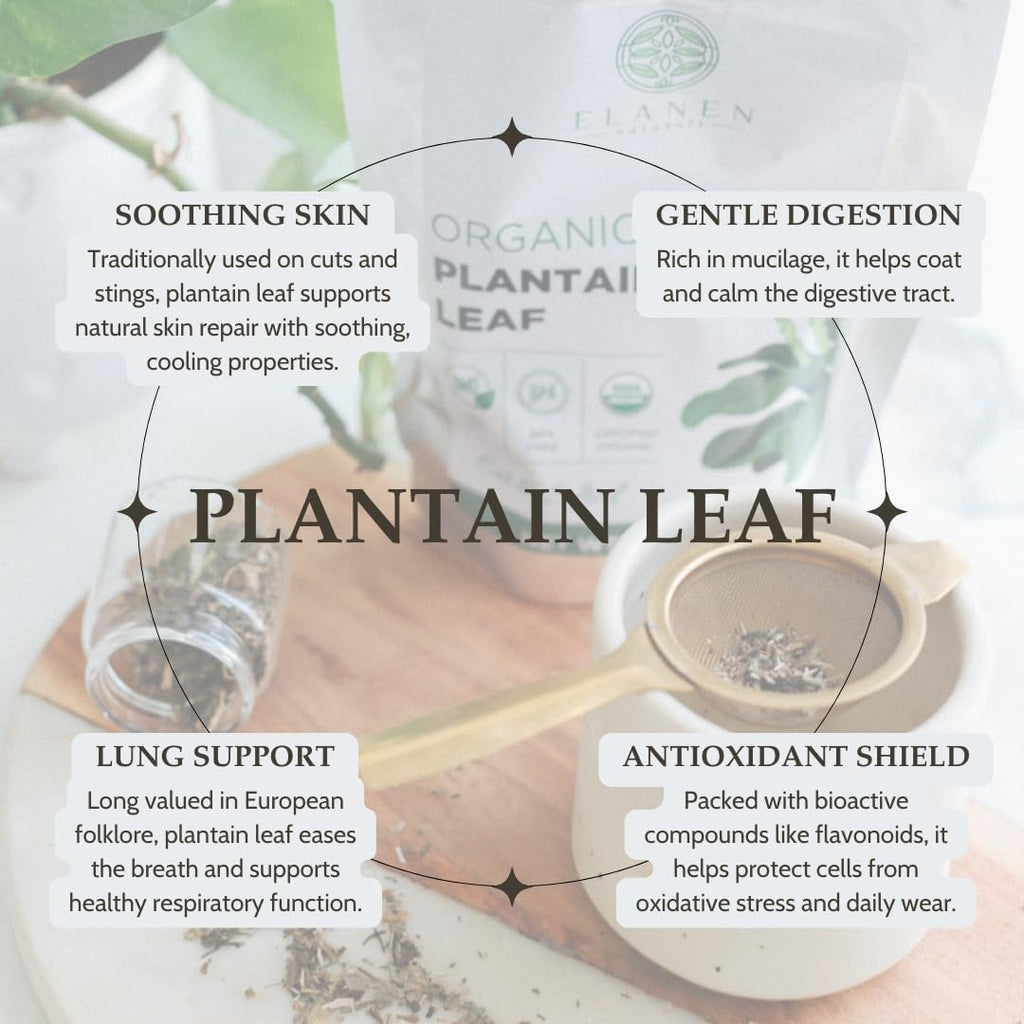natural herbal detox tea blend
