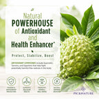 natural herbal detox tea option