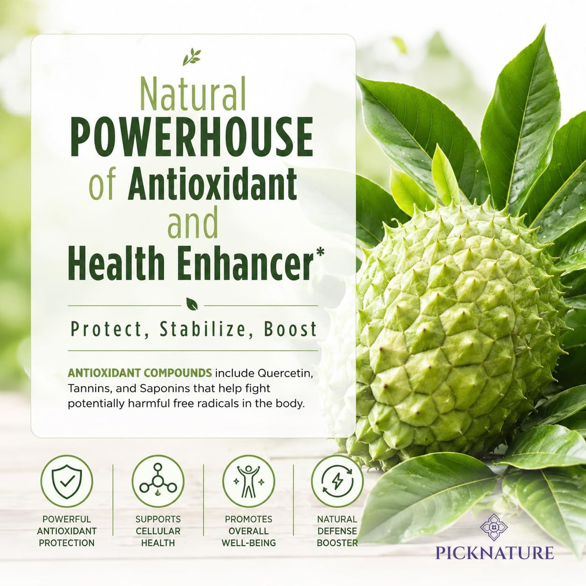 natural herbal detox tea option