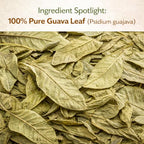 natural herbal detox tea option