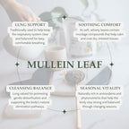 natural herbal detox tea option
