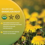 natural herbal detox tea option