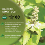 natural herbal detox tea option