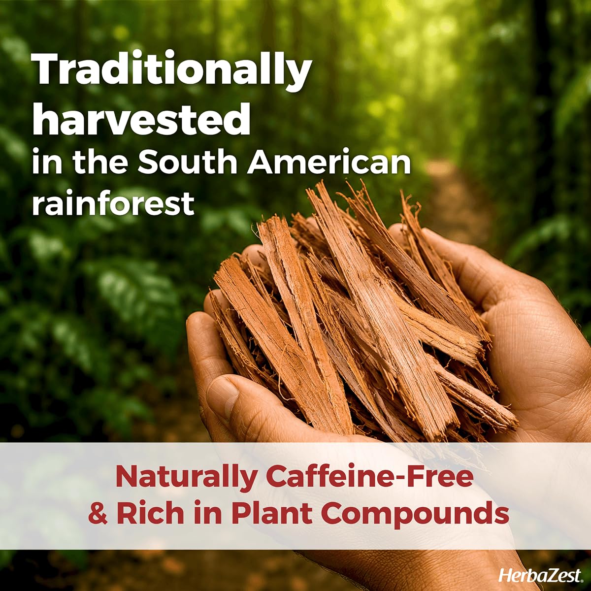 natural herbal detox tea option