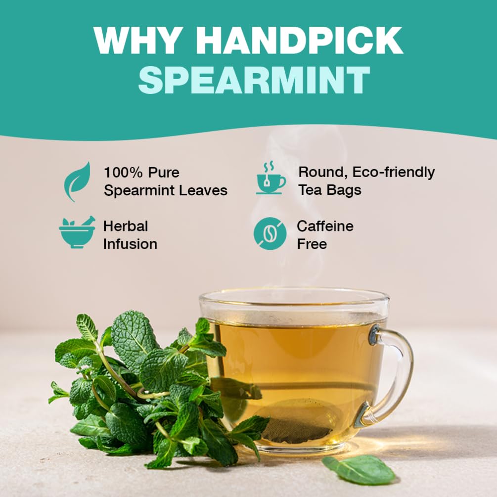 Natural herbal detox tea with spearmint