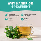 Natural herbal detox tea with spearmint