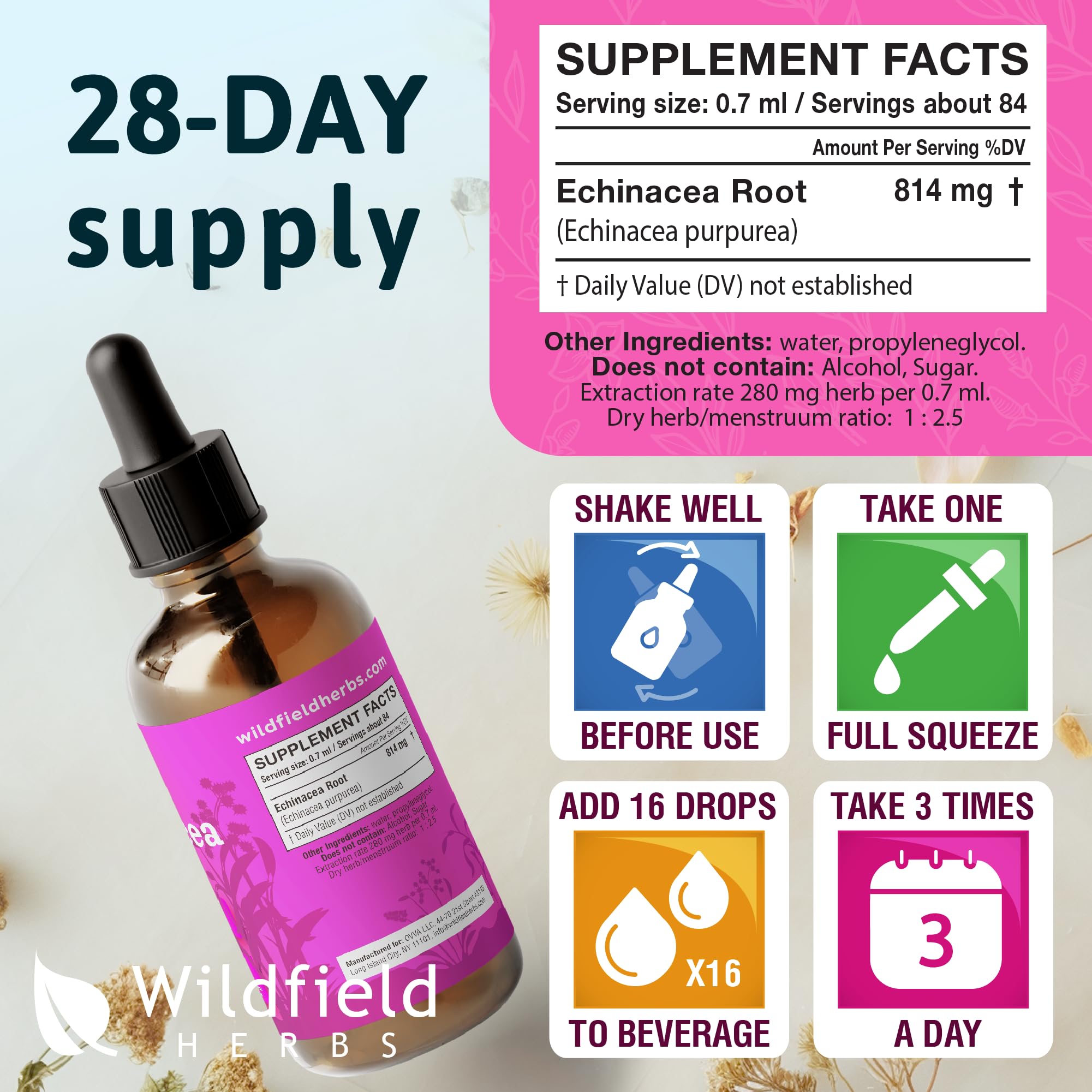 natural herbal echinacea supplement