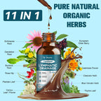 natural herbal echinacea supplement