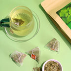 natural herbal ginkgo biloba infusion