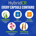 Natural herbal immune booster capsules
