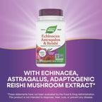 Natural herbal immune system booster