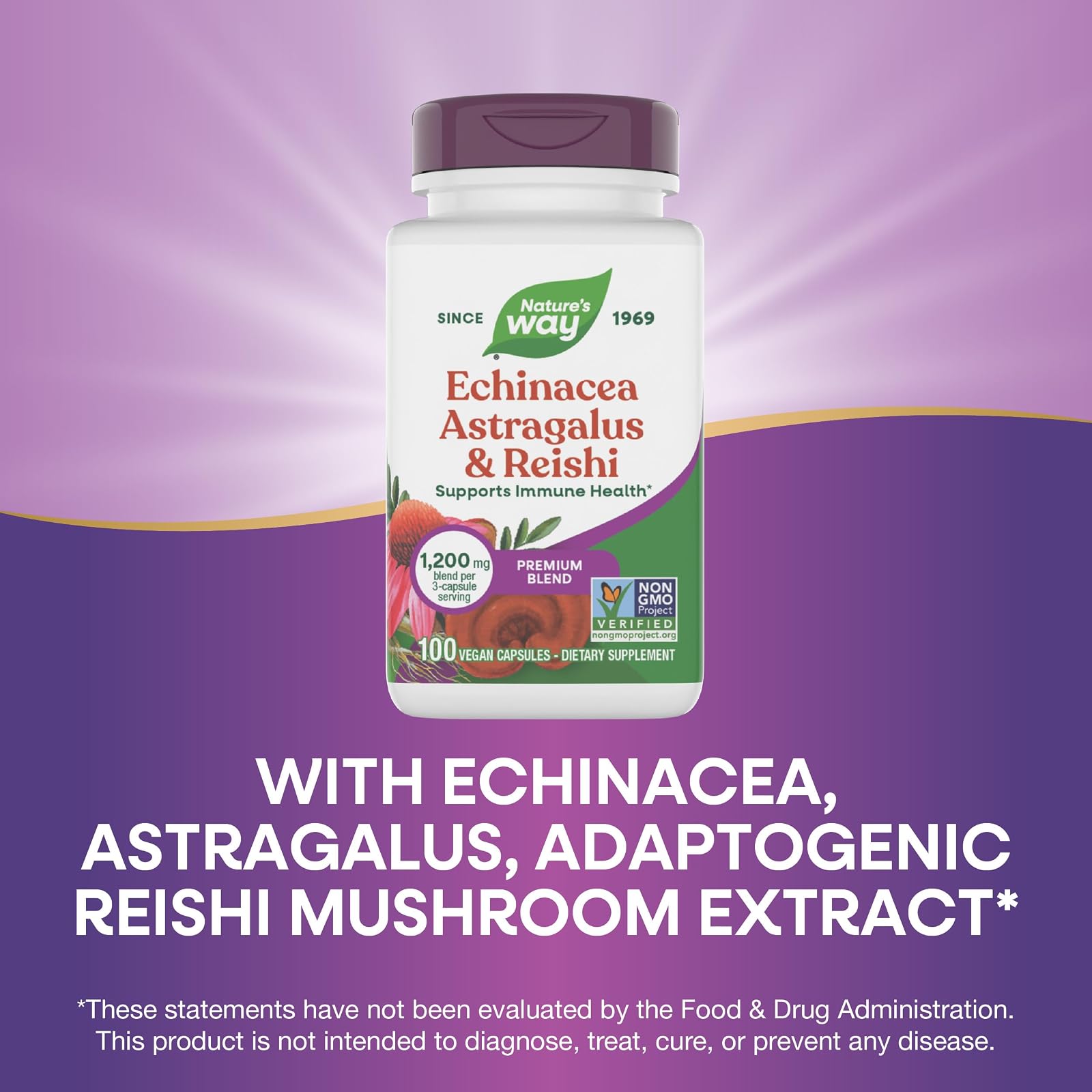 Natural herbal immune system booster