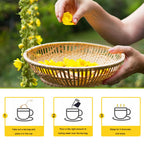 natural herbal infusion for wellness
