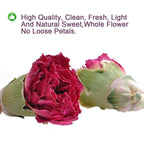 natural herbal infusion for wellness