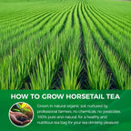 Natural herbal infusion for wellness
