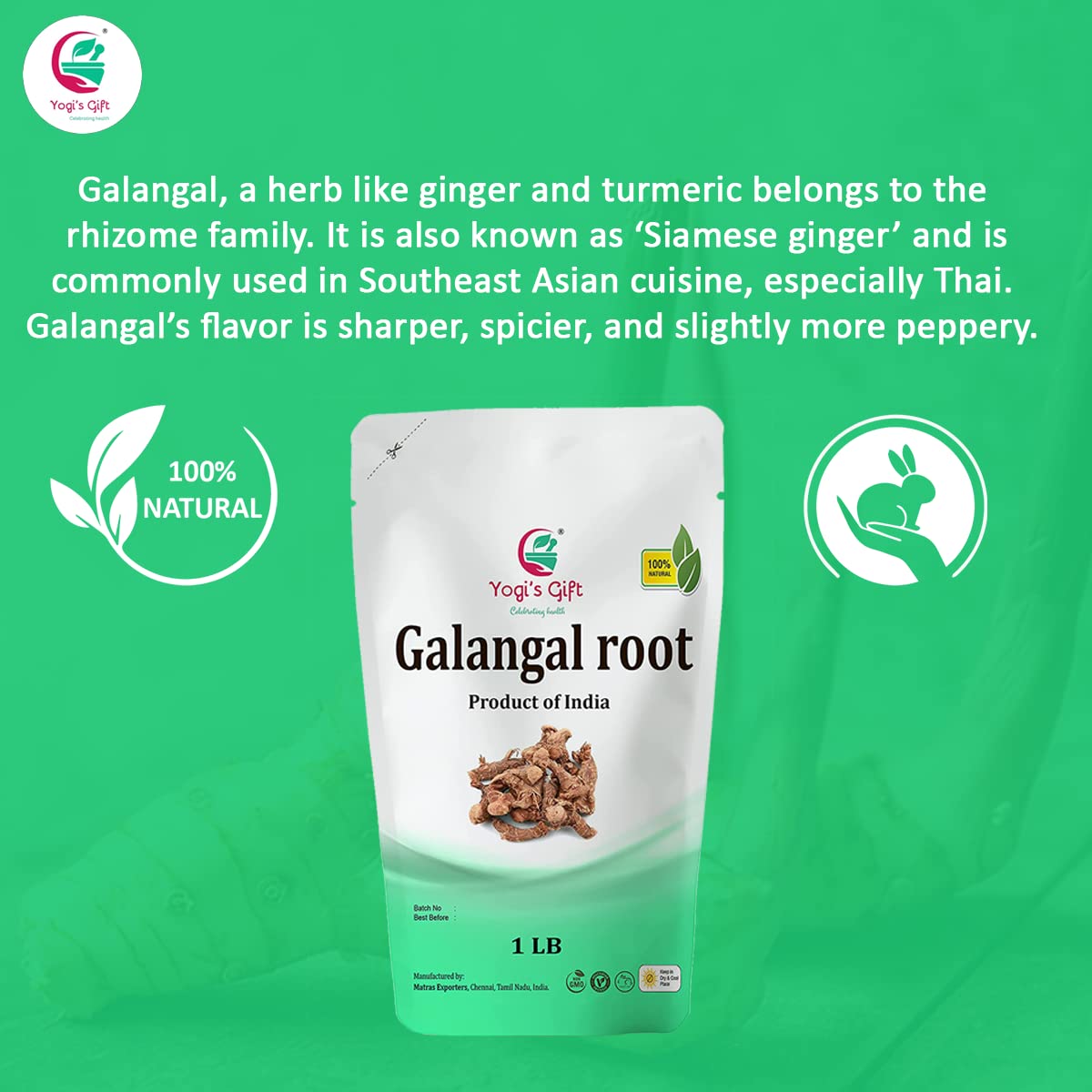 natural herbal infusion galangal root