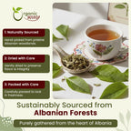 natural herbal infusion plantain leaf