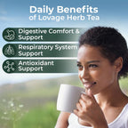 natural herbal infusion with tansy