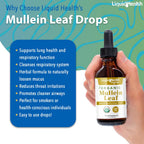 Natural herbal Mullein Leaf Extract