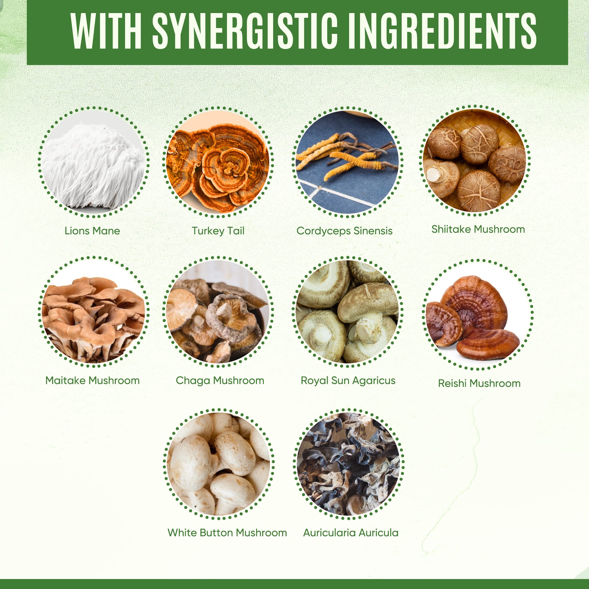 natural herbal mushroom supplement